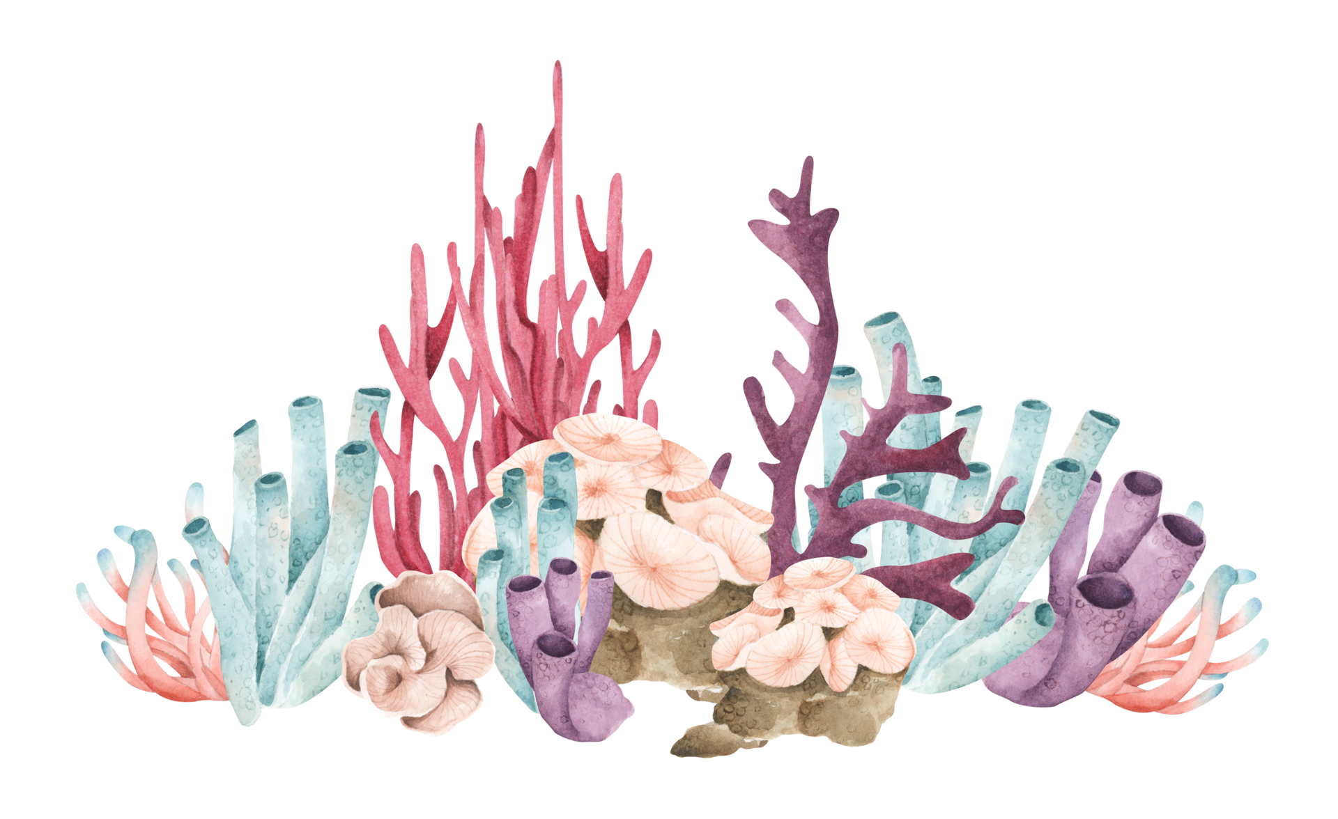 Seaweeds Underwater Ocean Plants Sea Coral Elements Watercolor