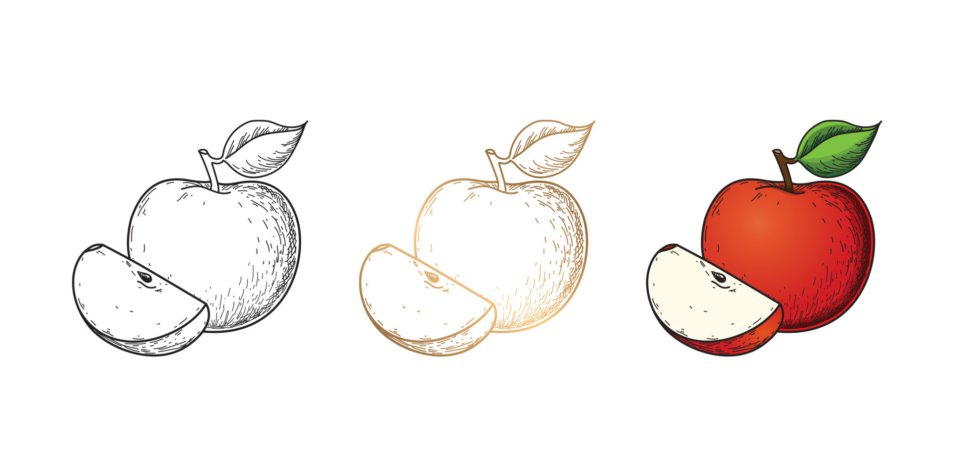 Vector Drawing Apple Black Gold And Realistic Colors On White