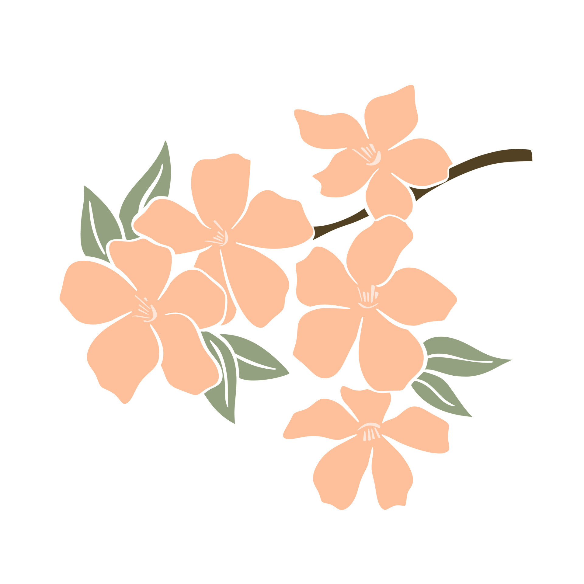 Flowering Fruit Tree Branch Color Stencil Clip Art 17132342 Vector Art