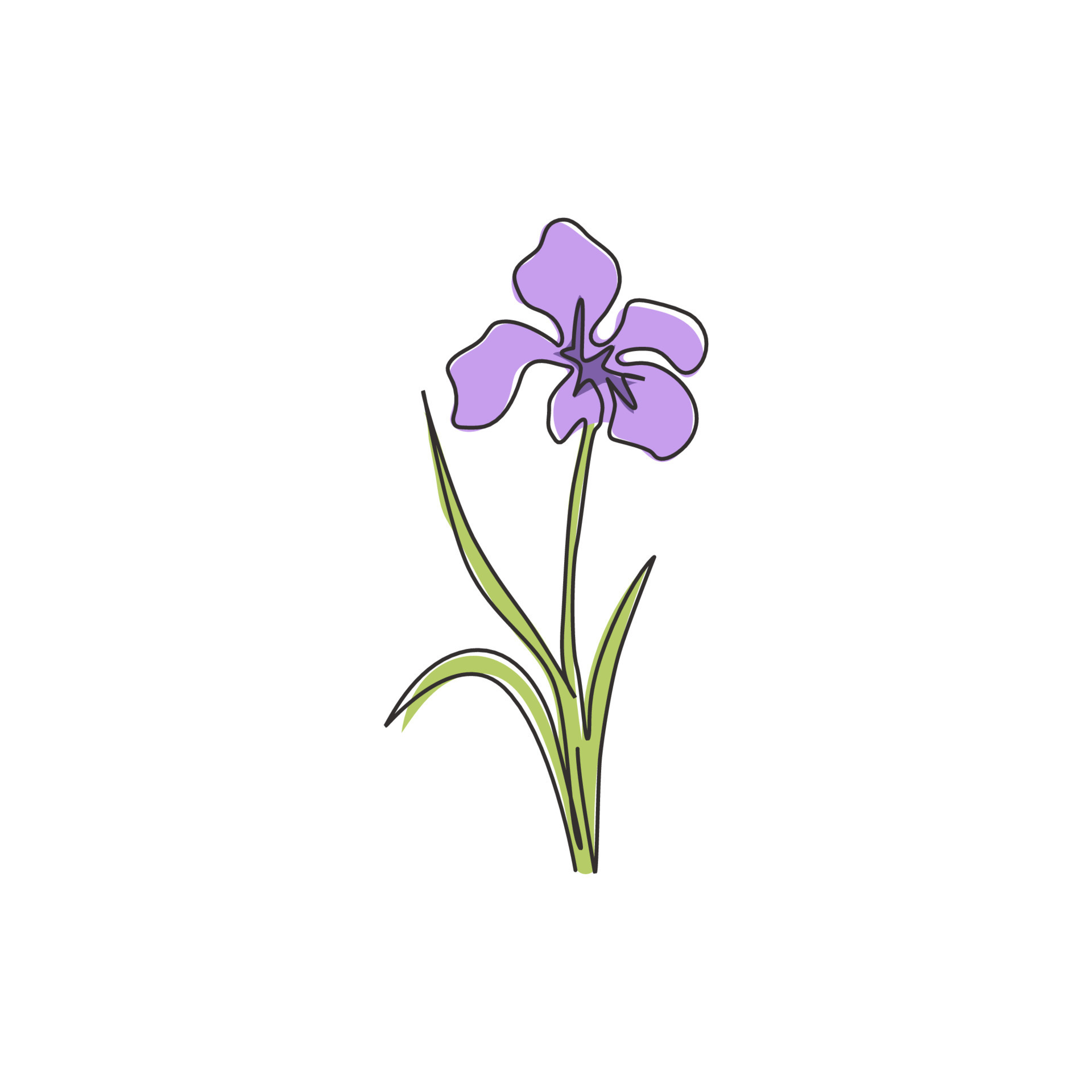 Single Continuous Line Drawing Beauty Fresh Perennial Plants For Home