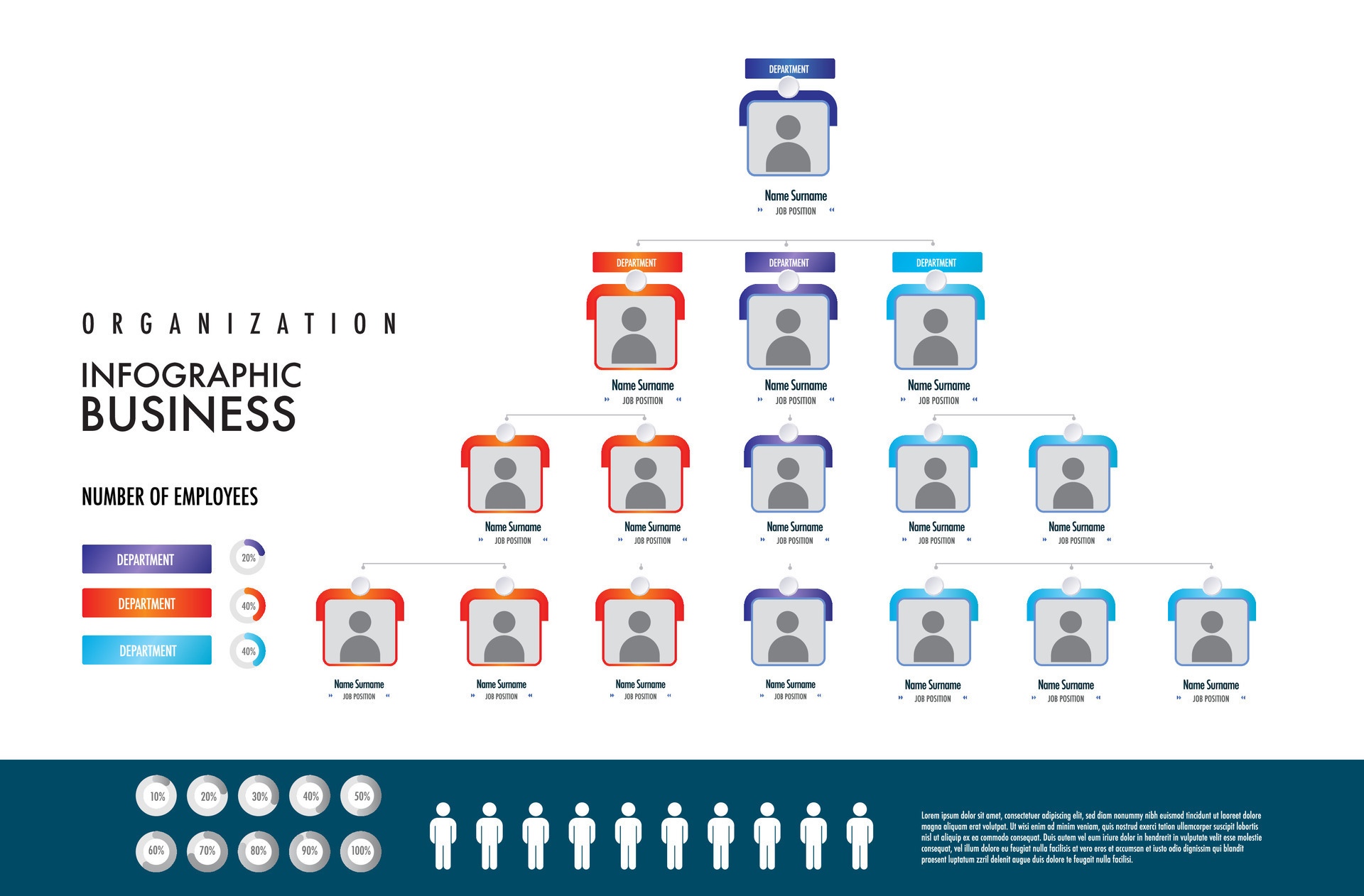Infographic For Business Organization Chart Model Department Template