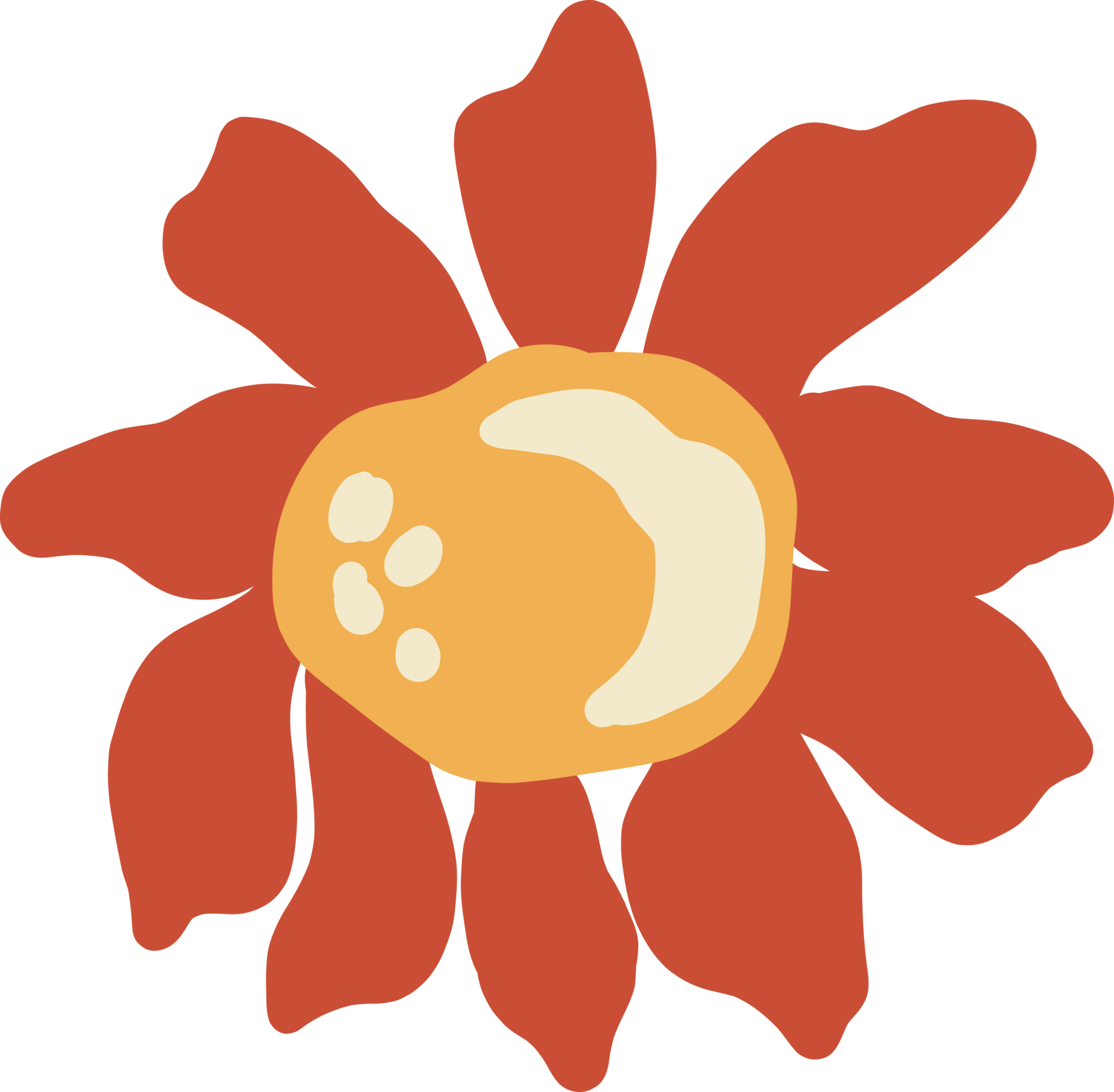 Beautiful Wild Orange Flower Colorful Blooming PNG