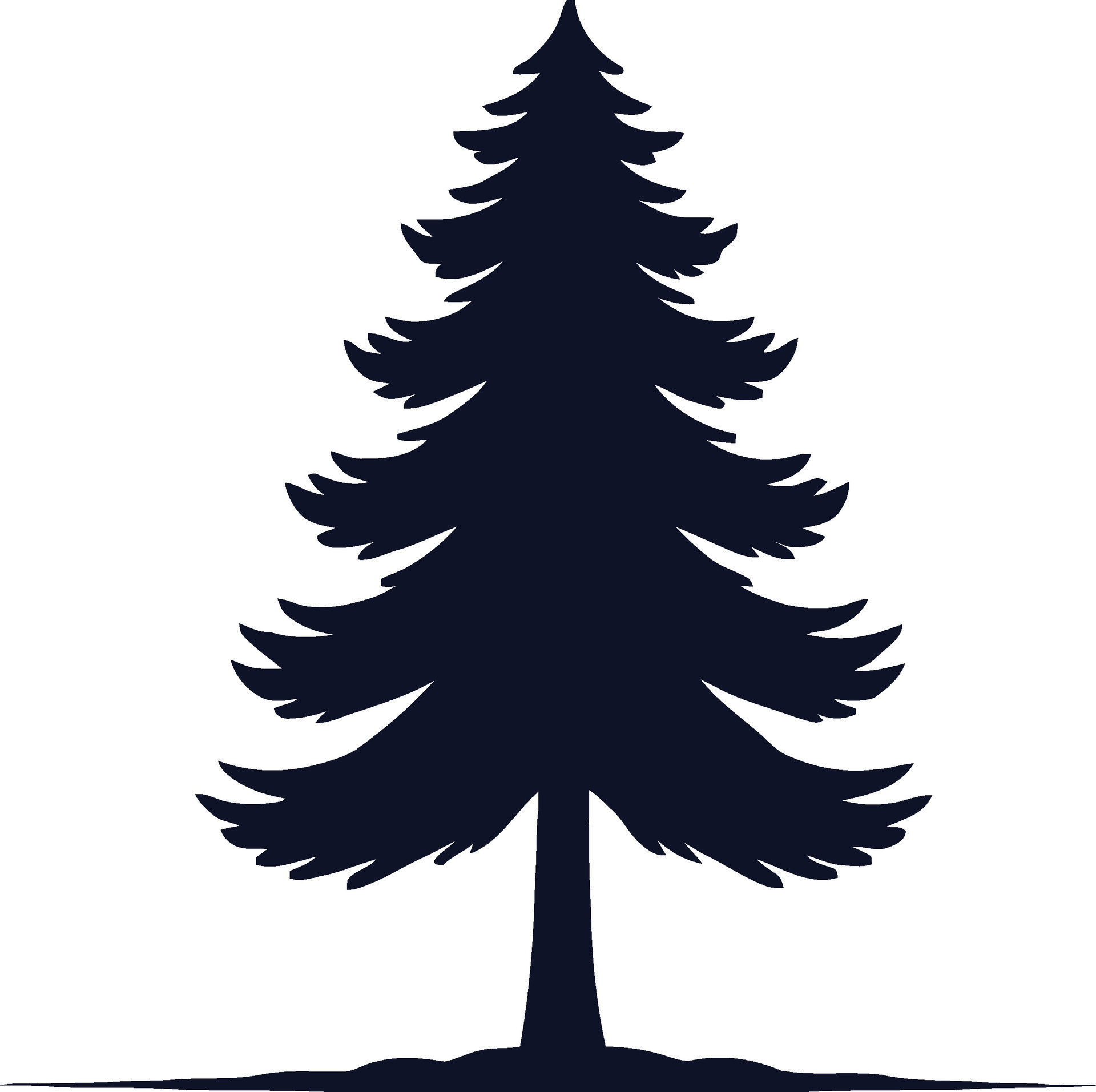 pino árbol vector salvaje árbol bosque árbol Navidad árbol decoración árbol al aire libre