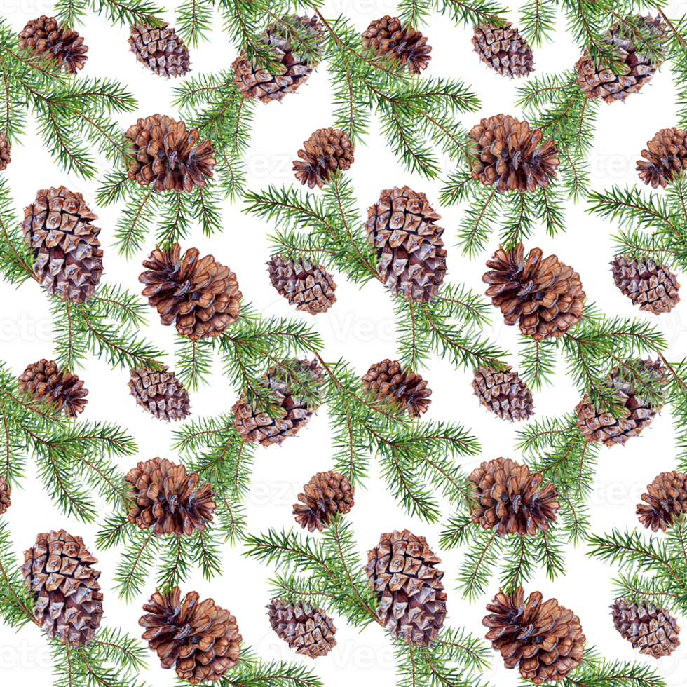 Watercolor Fir Branches And It Cones Drawned For Wrapping Paper