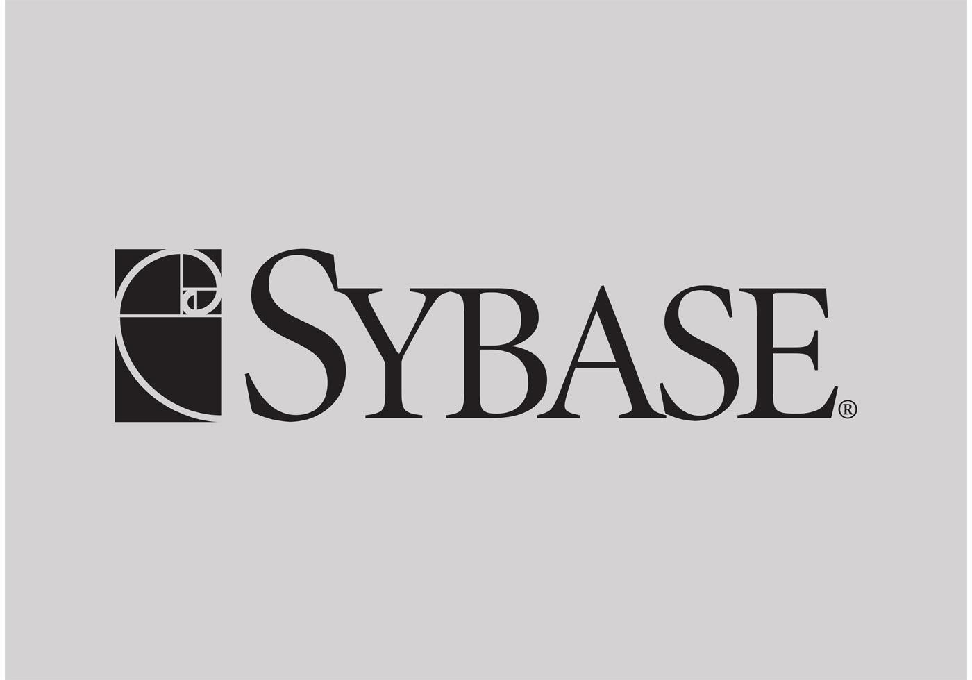 Sybase 64875 Vector Art At Vecteezy