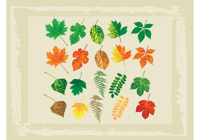 Vectors of Leaves | Free Vector Graphics | Everypixel Vectors of Leaves | Free Vector Graphics | Everypixel
