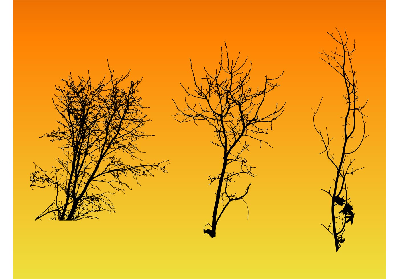 Tree Free Vector Art - (13712 Free Downloads)