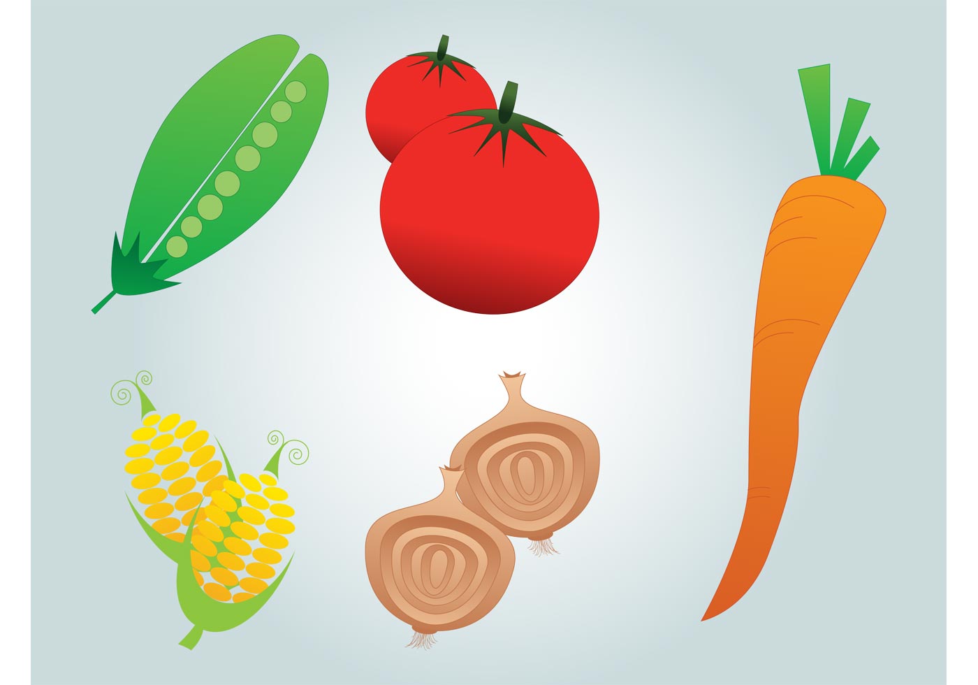 On The Vector Vegetables