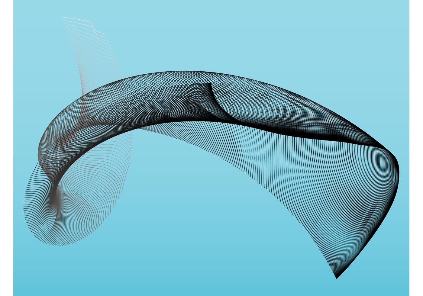 Wireframe Vector - Download Free Vector Art, Stock Graphics & Images