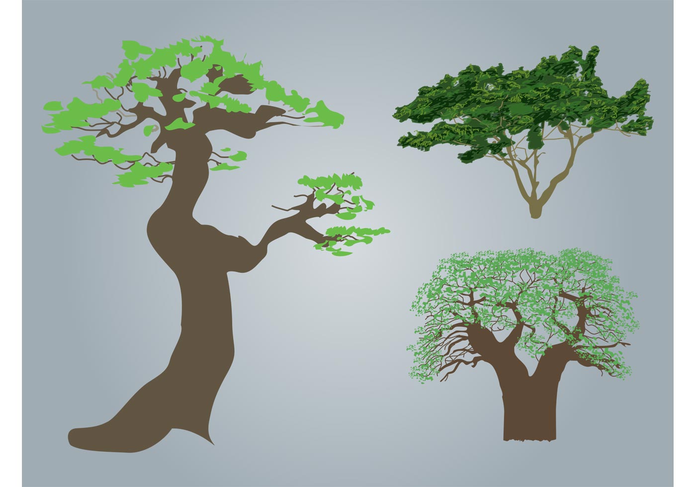 Trees - Download Free Vector Art, Stock Graphics & Images