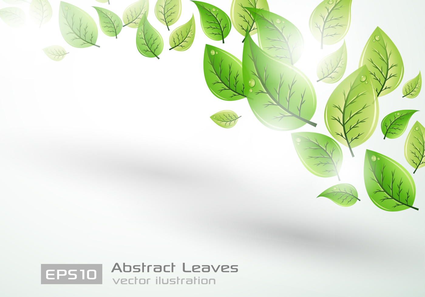 Leaf Background Vector 80540 Vector Art at Vecteezy