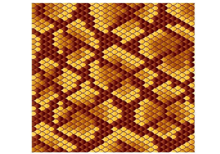 Snake Skin Pattern Vector 83467 Vector Art at Vecteezy Snake Skin Pattern Vector 83467 Vector Art at Vecteezy