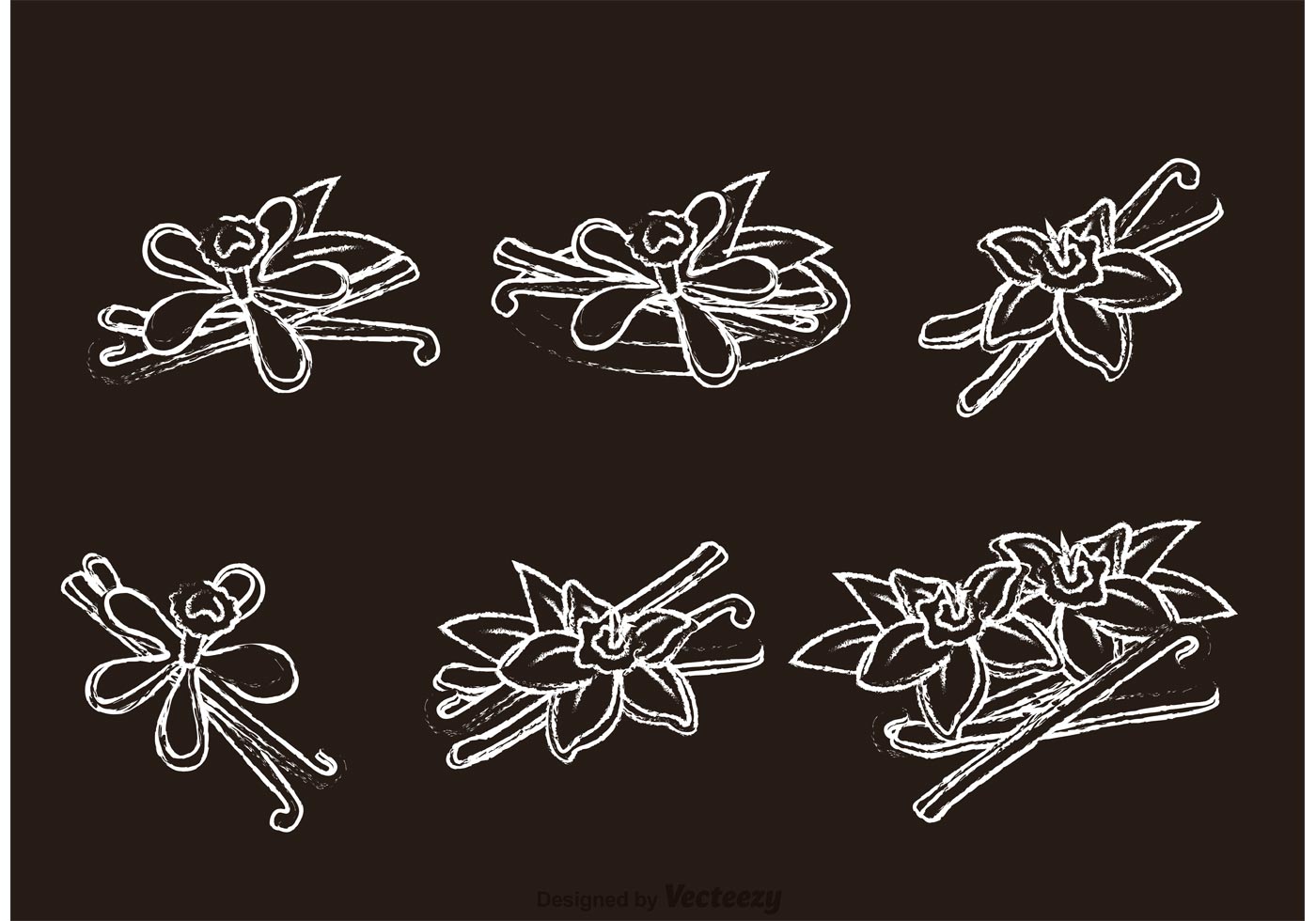 Chalk Drawn Vanilla Flower Vectors 87087 Vector Art at Vecteezy