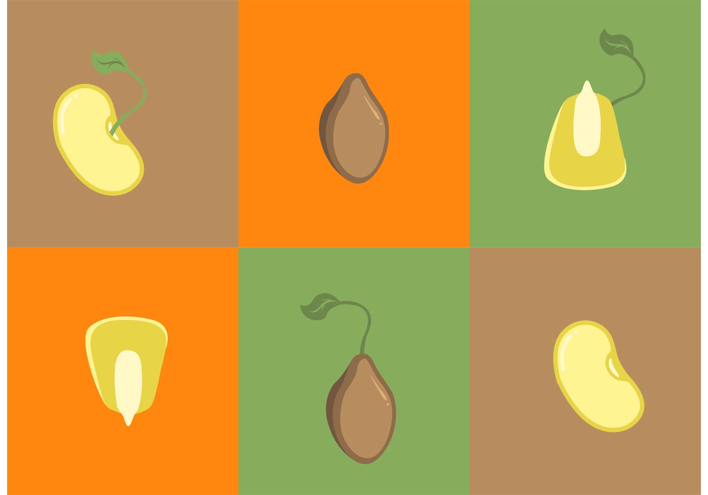 Seed Vectors - Download Free Vector Art, Stock Graphics & Images