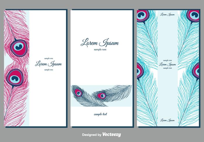 Peacock Background 97019 Vector Art At Vecteezy