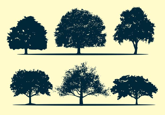 Oak tree silhouette vectors - Download Free Vector Art, Stock Graphics ... Oak tree silhouette vectors - Download Free Vector Art, Stock Graphics ...