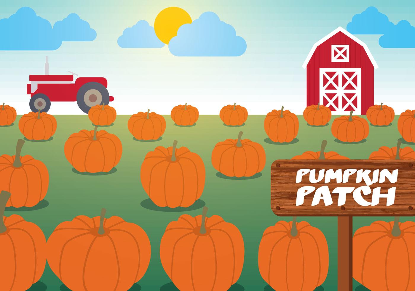 Pumpkin Patch Vector 103219 Vector Art at Vecteezy