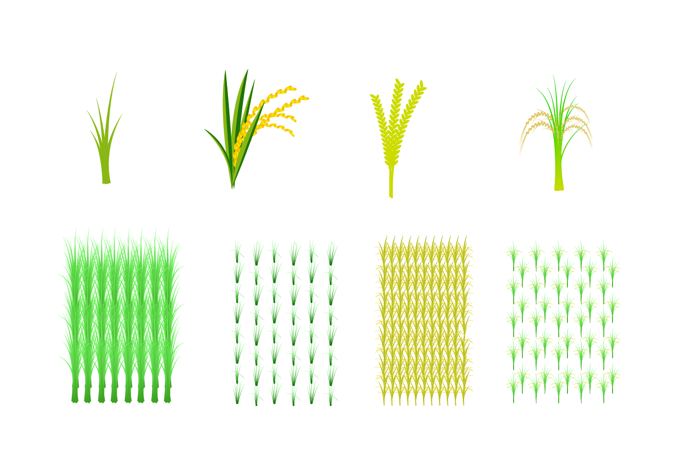Free Rice Field Vector 103226 Vector Art at Vecteezy Free Rice Field Vector 103226 Vector Art at Vecteezy