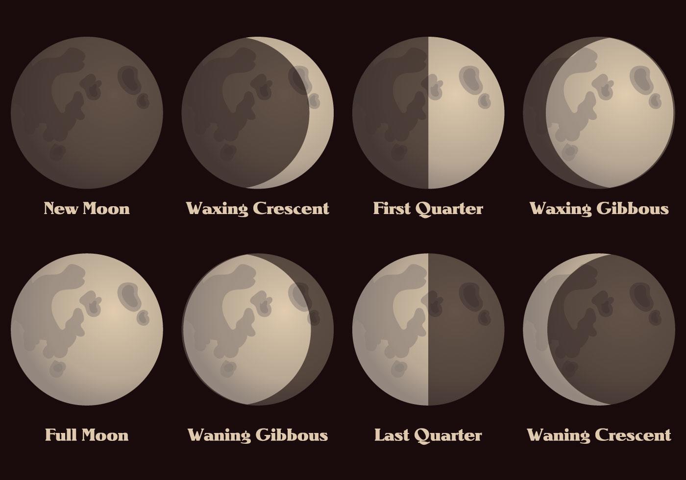 Moon Phases Vector 107031 Vector Art At Vecteezy