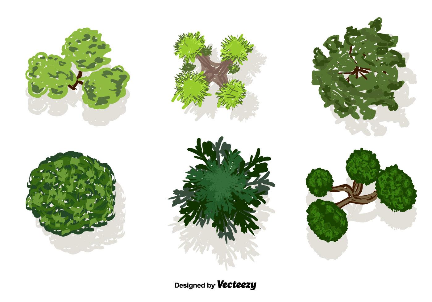 Tree Tops Vector 107519 Vector Art at Vecteezy