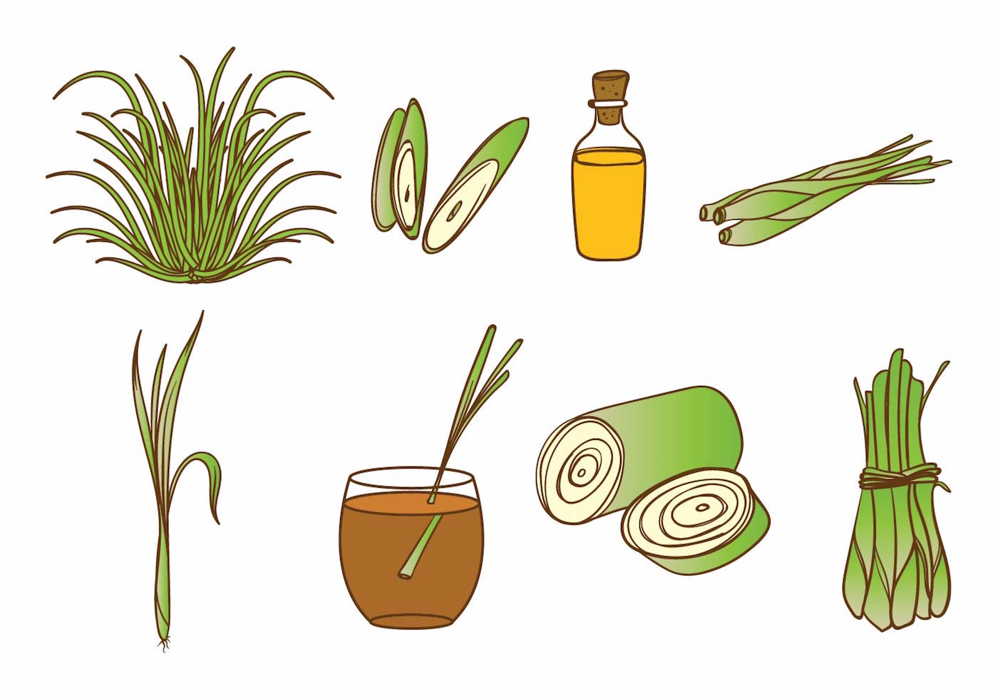 Lemongrass Icon Set 118107 Vector Art At Vecteezy
