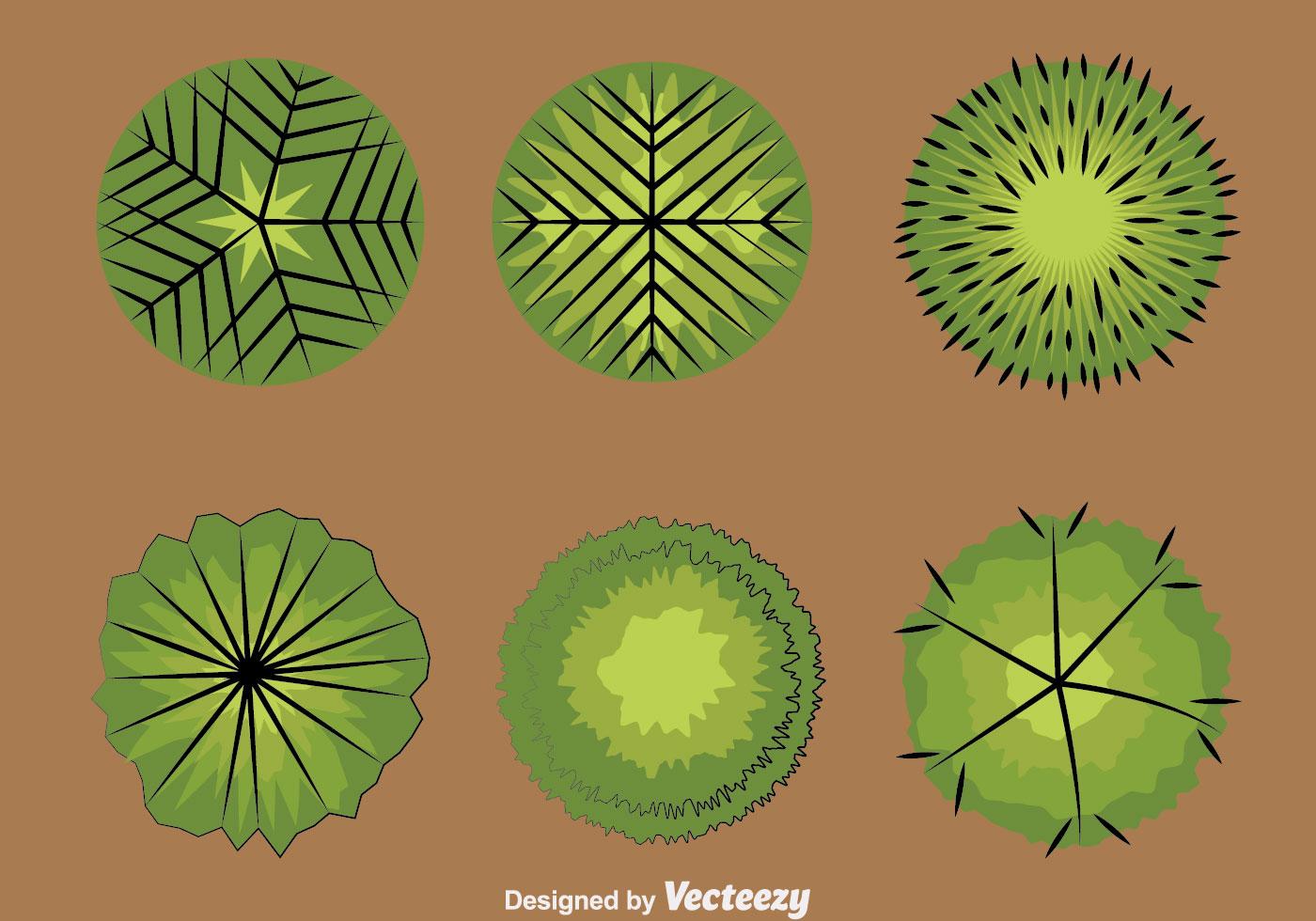 Tree Tops Collection Vector 121475 Vector Art at Vecteezy