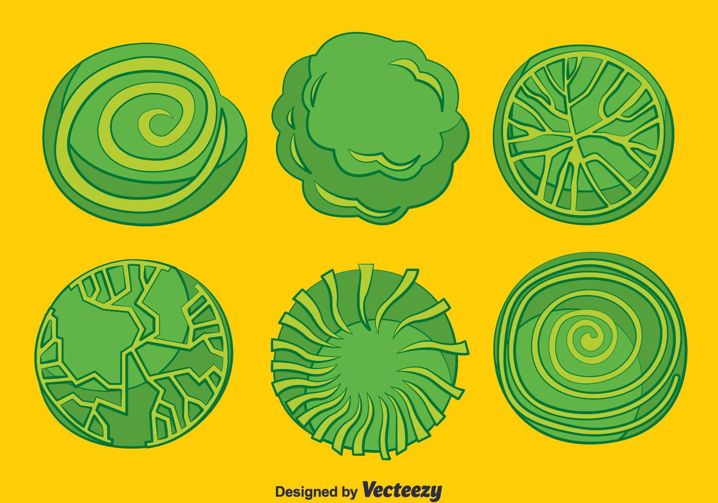 Tree Top View Collection Vector 122154 Vector Art at Vecteezy