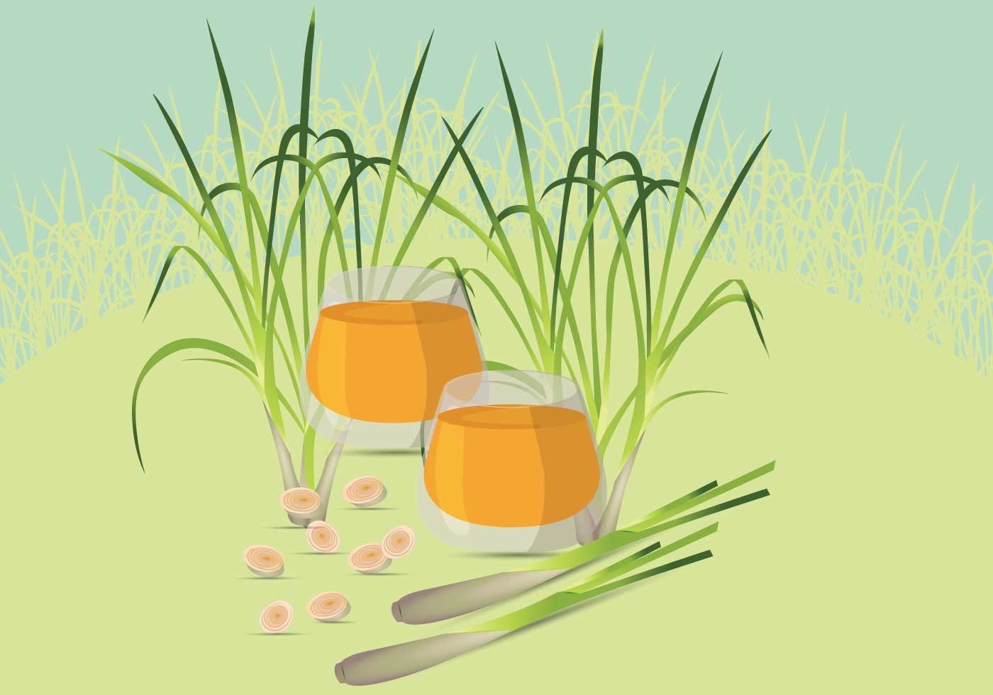 Free Lemongrass Illustration 122918 Vector Art At Vecteezy