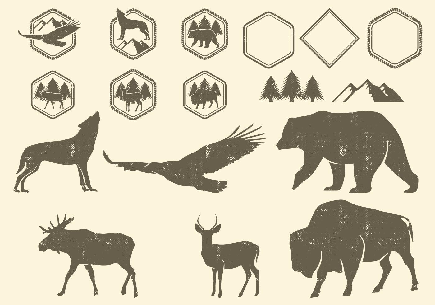 Wilderness Design Elements 124009 Vector Art at Vecteezy