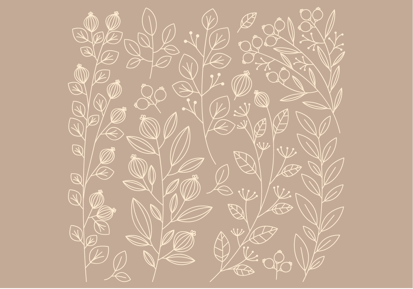 Vector Linear Floral Elements 126127 Vector Art At Vecteezy