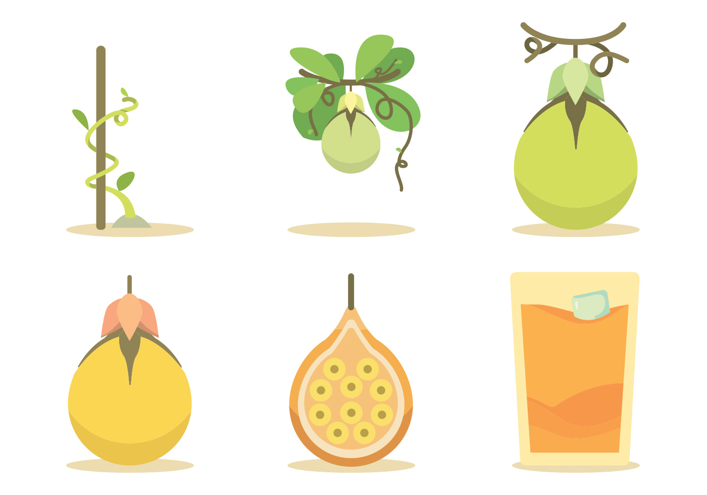 Passion Fruit Vector Set 126180 Vector Art At Vecteezy