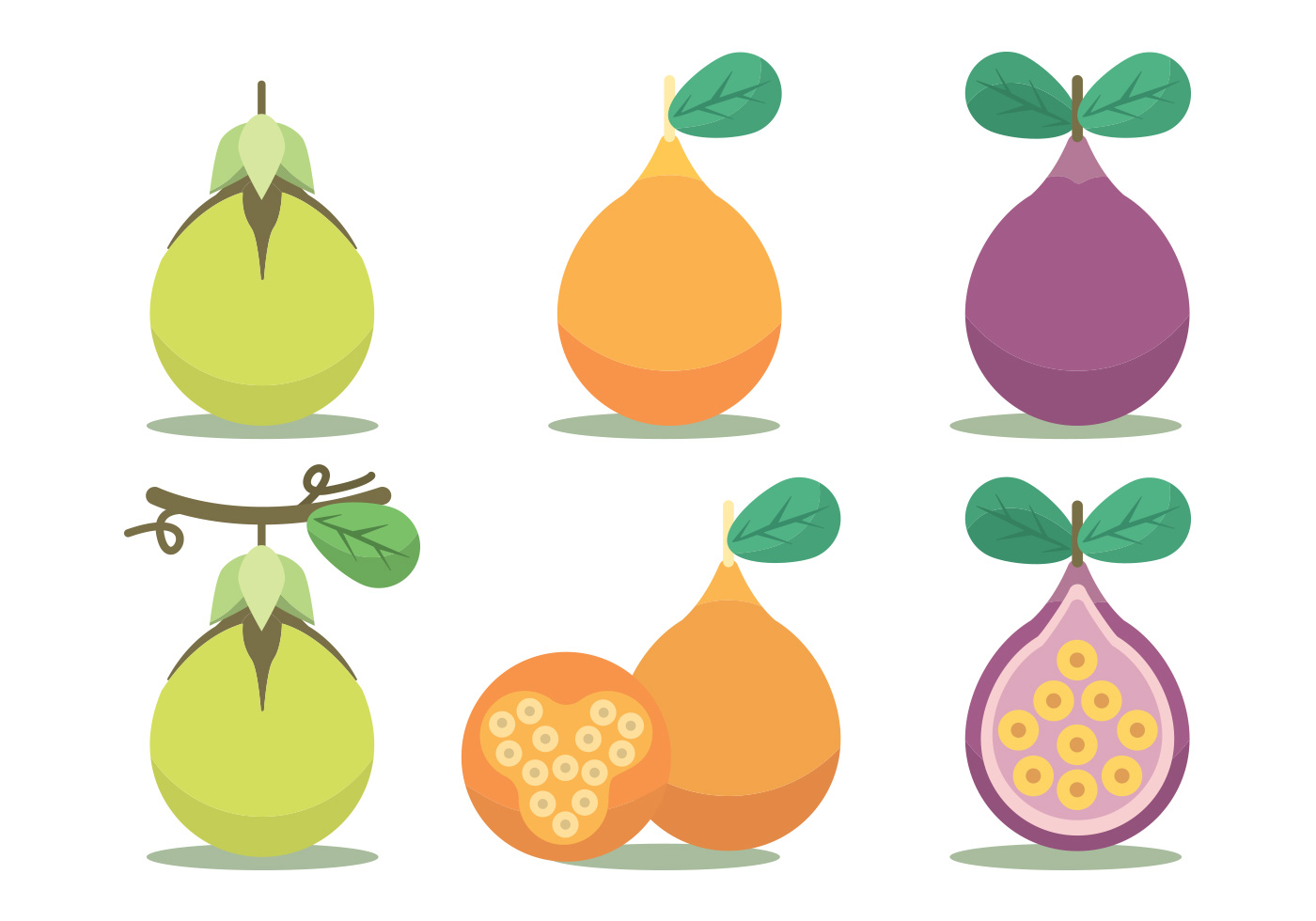 Passion Fruit Vector Set 126235 Vector Art At Vecteezy