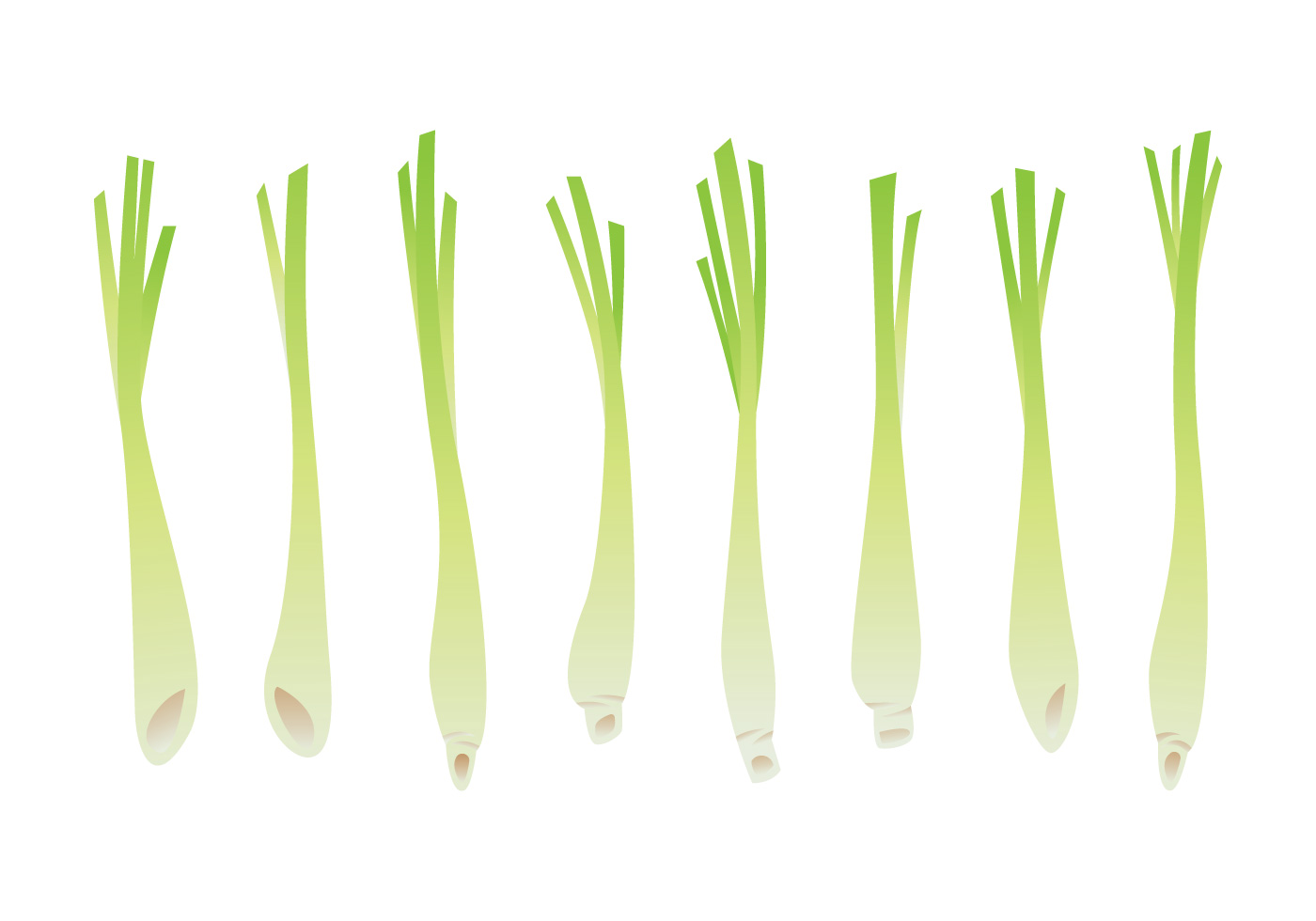 Lemongrass Vector Set 127153 Vector Art At Vecteezy