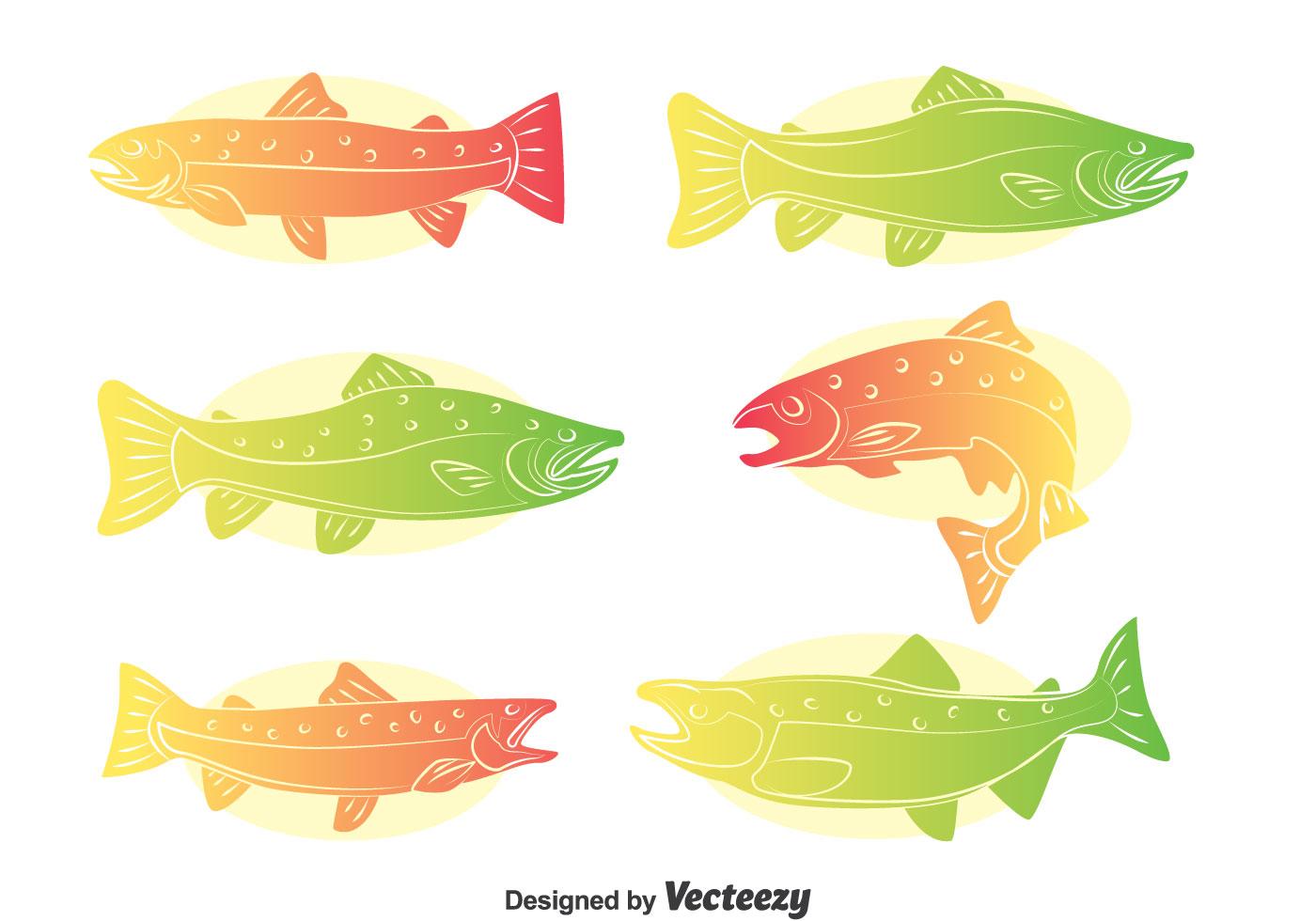 Rainbow Trout Vector Set 128178 Vector Art at Vecteezy