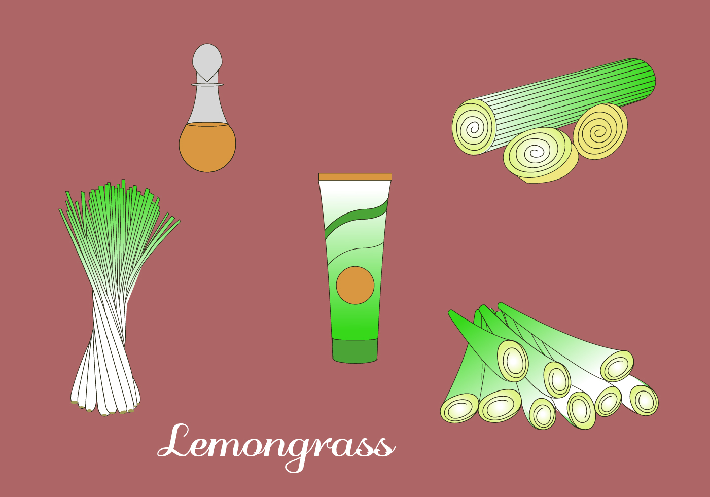 Lemongrass Vector Elements 131193 Vector Art At Vecteezy
