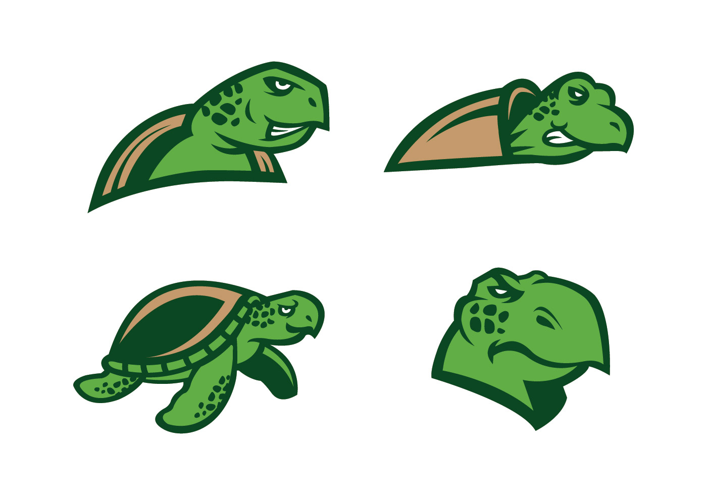 Free Turtle Vector 133791 Vector Art at Vecteezy