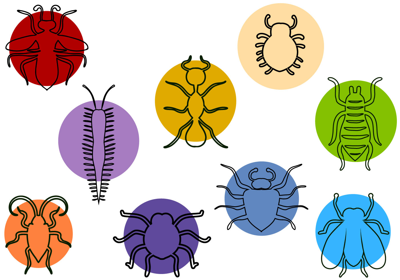 Free Insect Vectors 134617 Vector Art at Vecteezy Free Insect Vectors 134617 Vector Art at Vecteezy