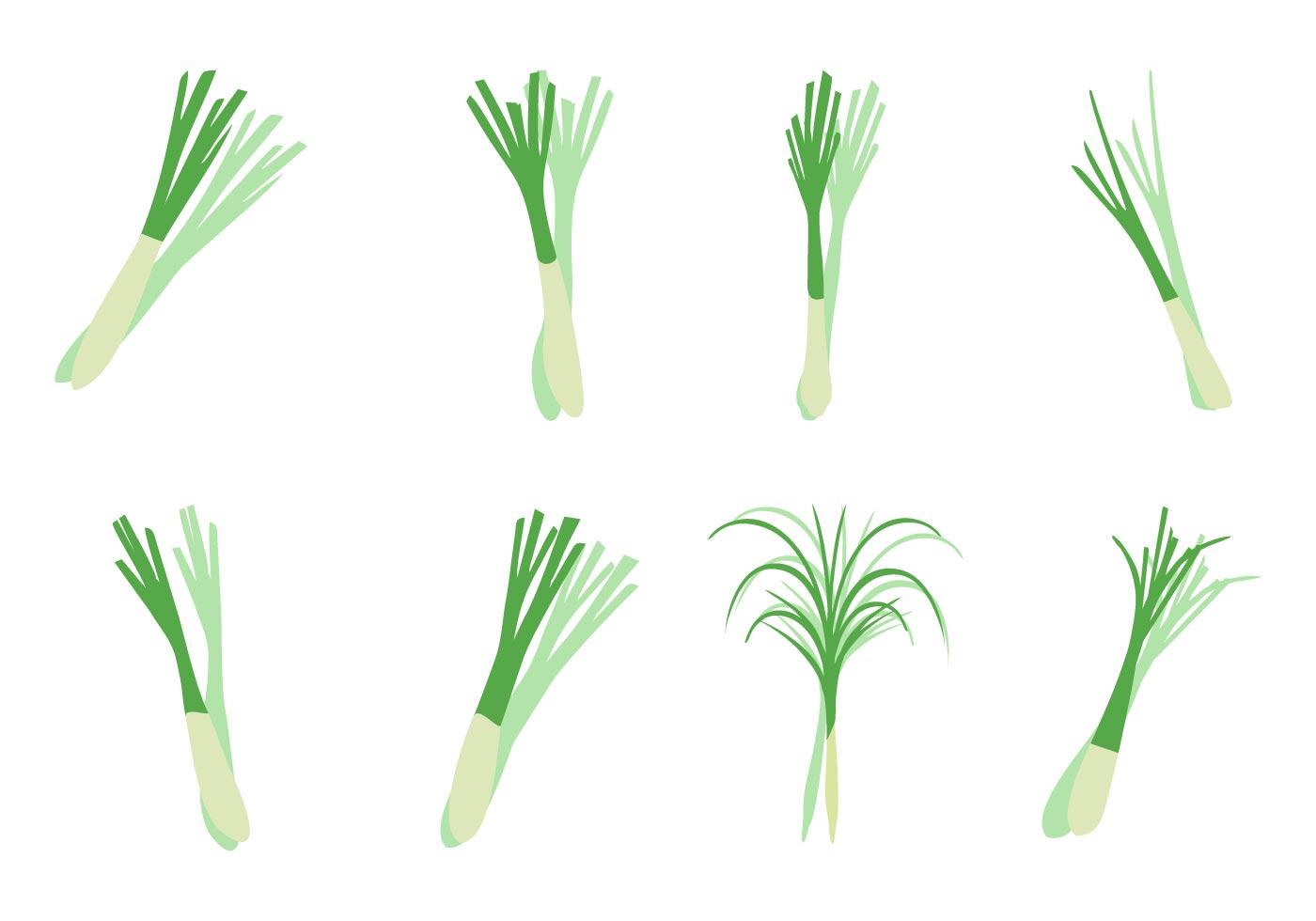 Free Lemongrass Icons Vector 140375 Vector Art At Vecteezy