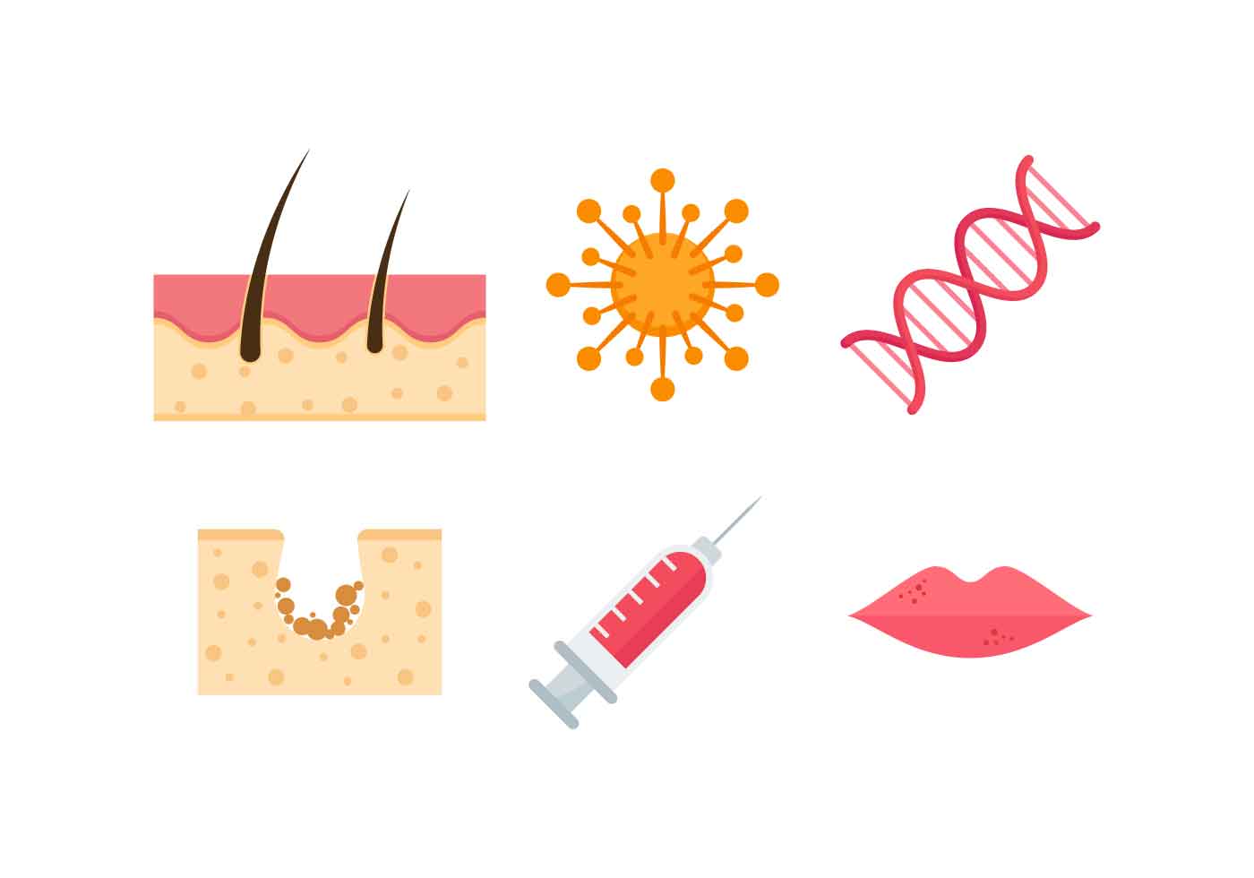 Dermatology Free Vector Art 1519 Free Downloads