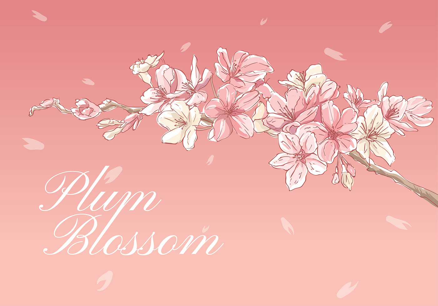 Plum Blossom Hand Drawing Vector Download Free Vector Art Stock Graphics And Images
