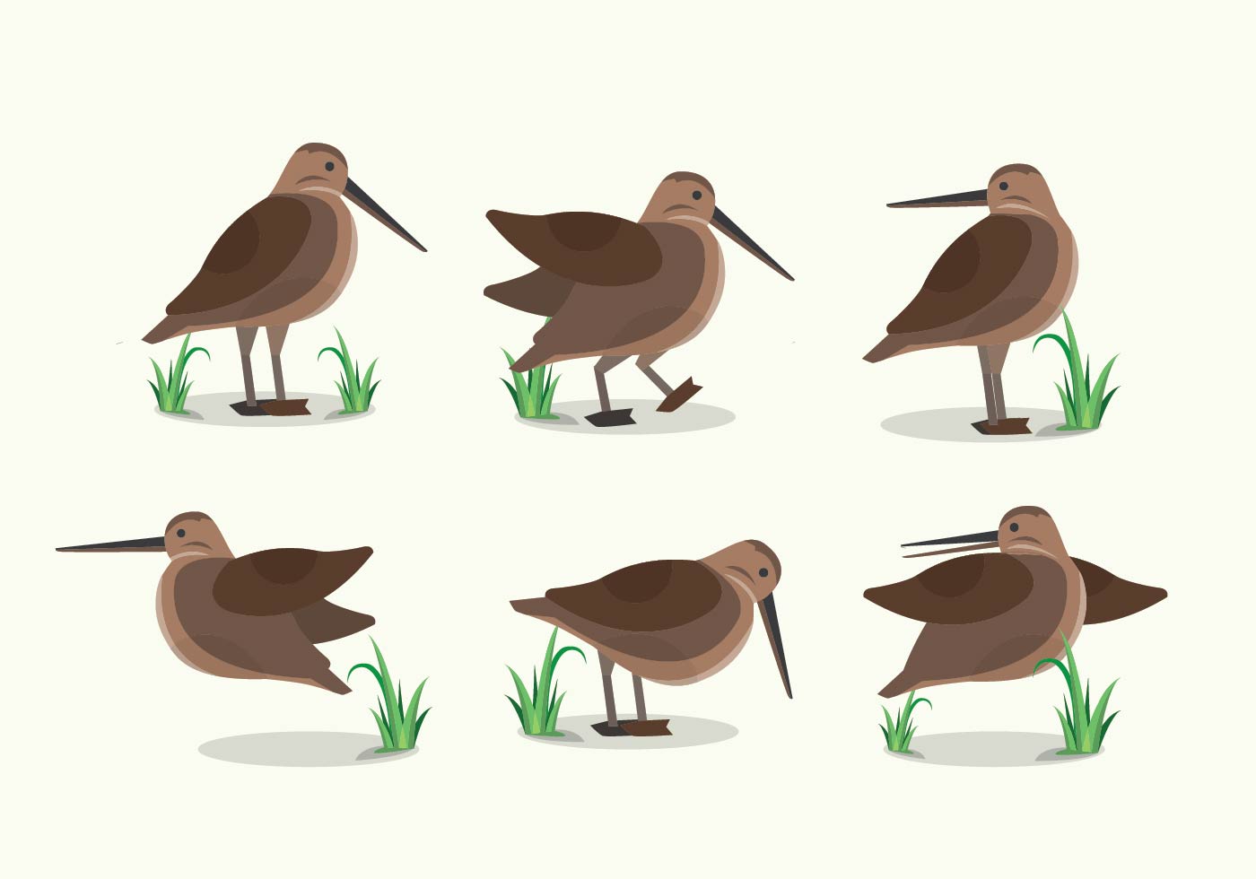 Snipe Bird Habitat Flat Illustration 163237 Vector Art At Vecteezy
