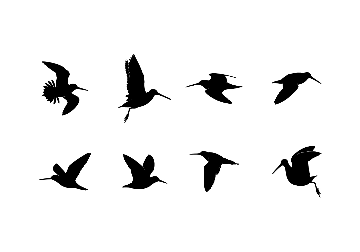 Silhouette Flying Snipe Free Vector 163504 Vector Art At Vecteezy