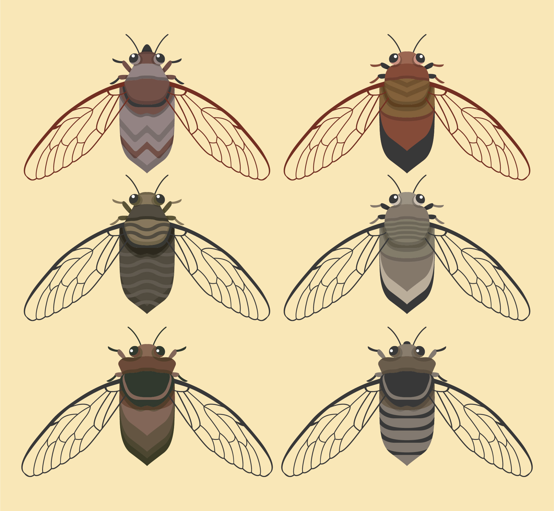 Cicada Bug With Yellow Background Vector Collection 171943 Vector Art At Vecteezy