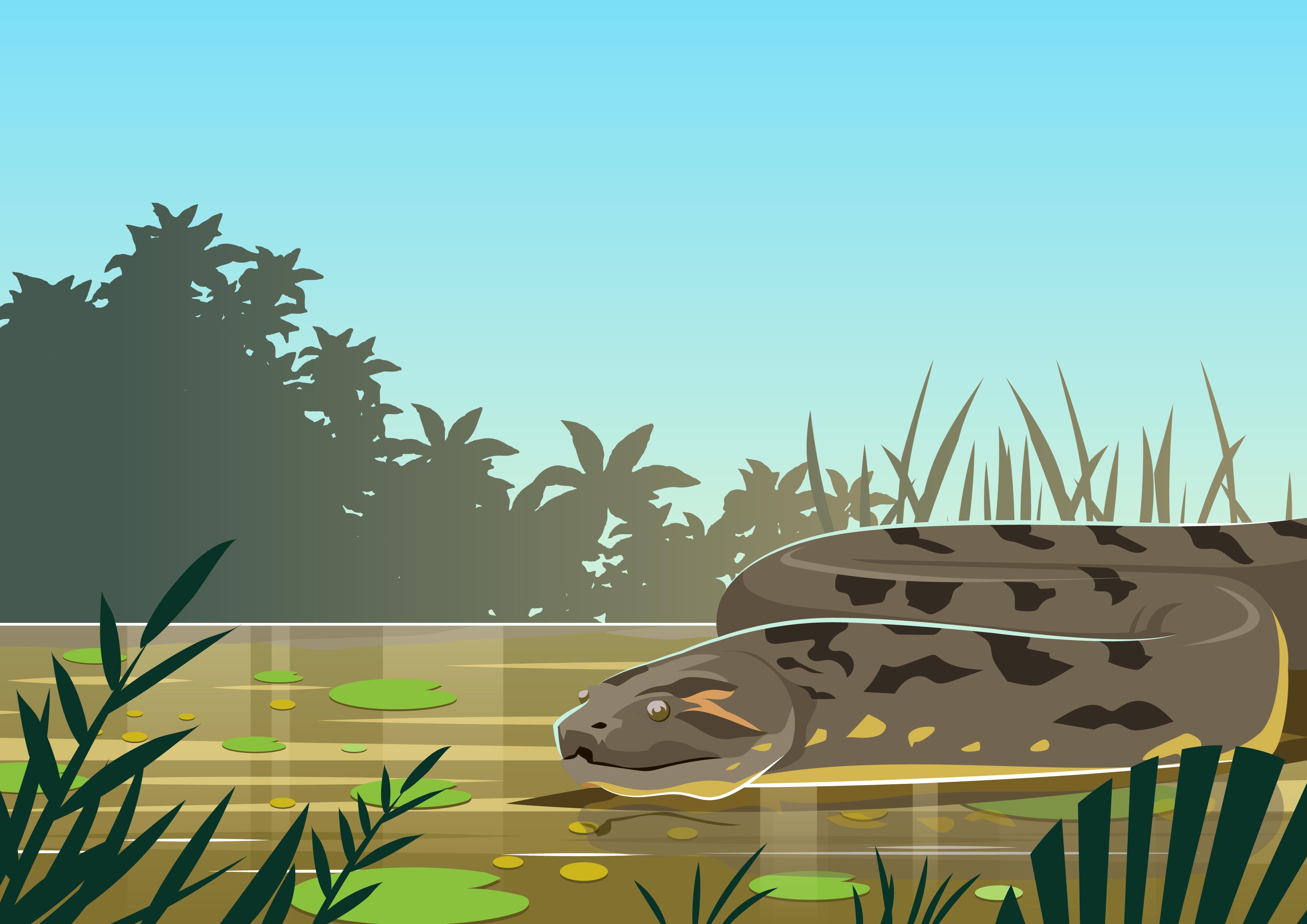 Anaconda 175022 Vector Art at Vecteezy