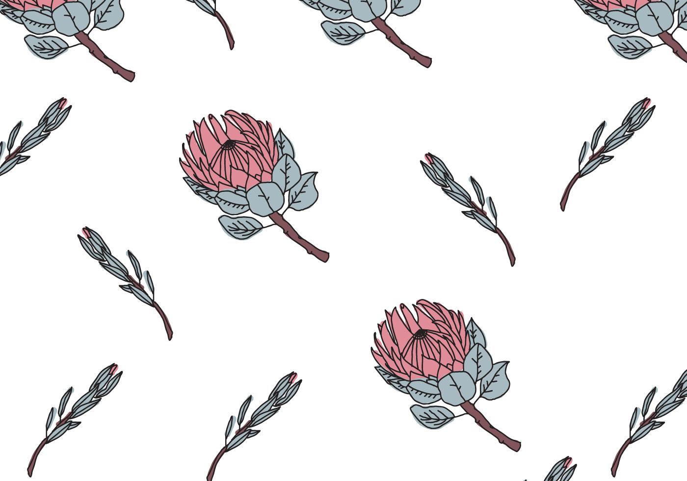 Protea Pattern 181644 Vector Art at Vecteezy