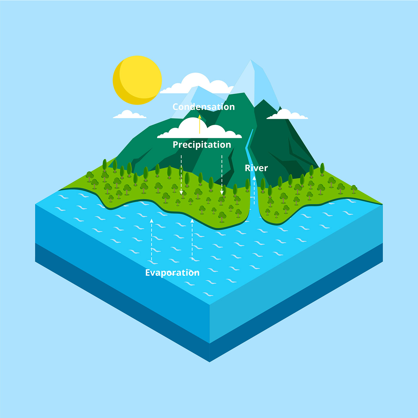 Water Cycle Diagram Vector Download Free Vectors