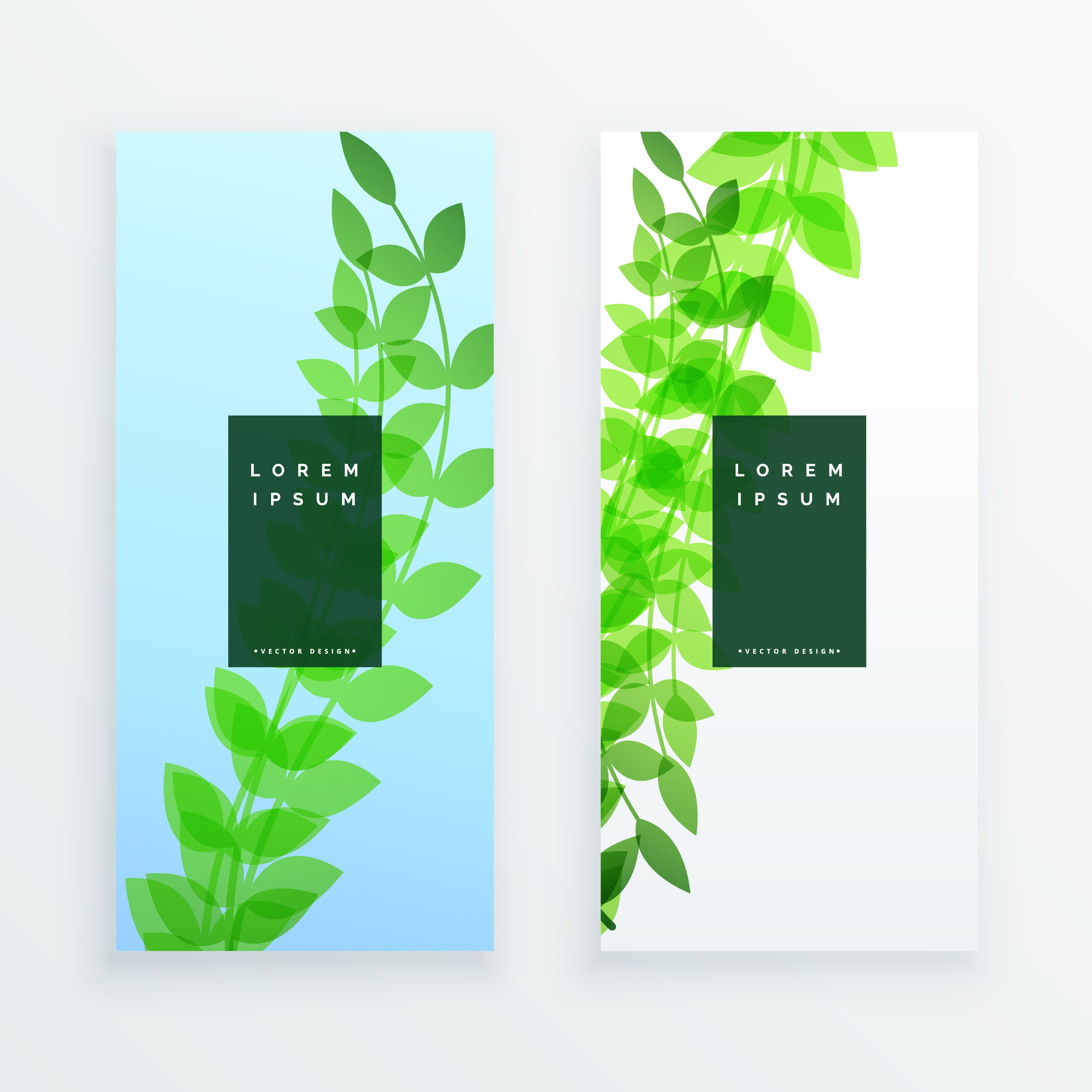 Green Vertical Leaves Banner Design Download Free Vector Art Stock