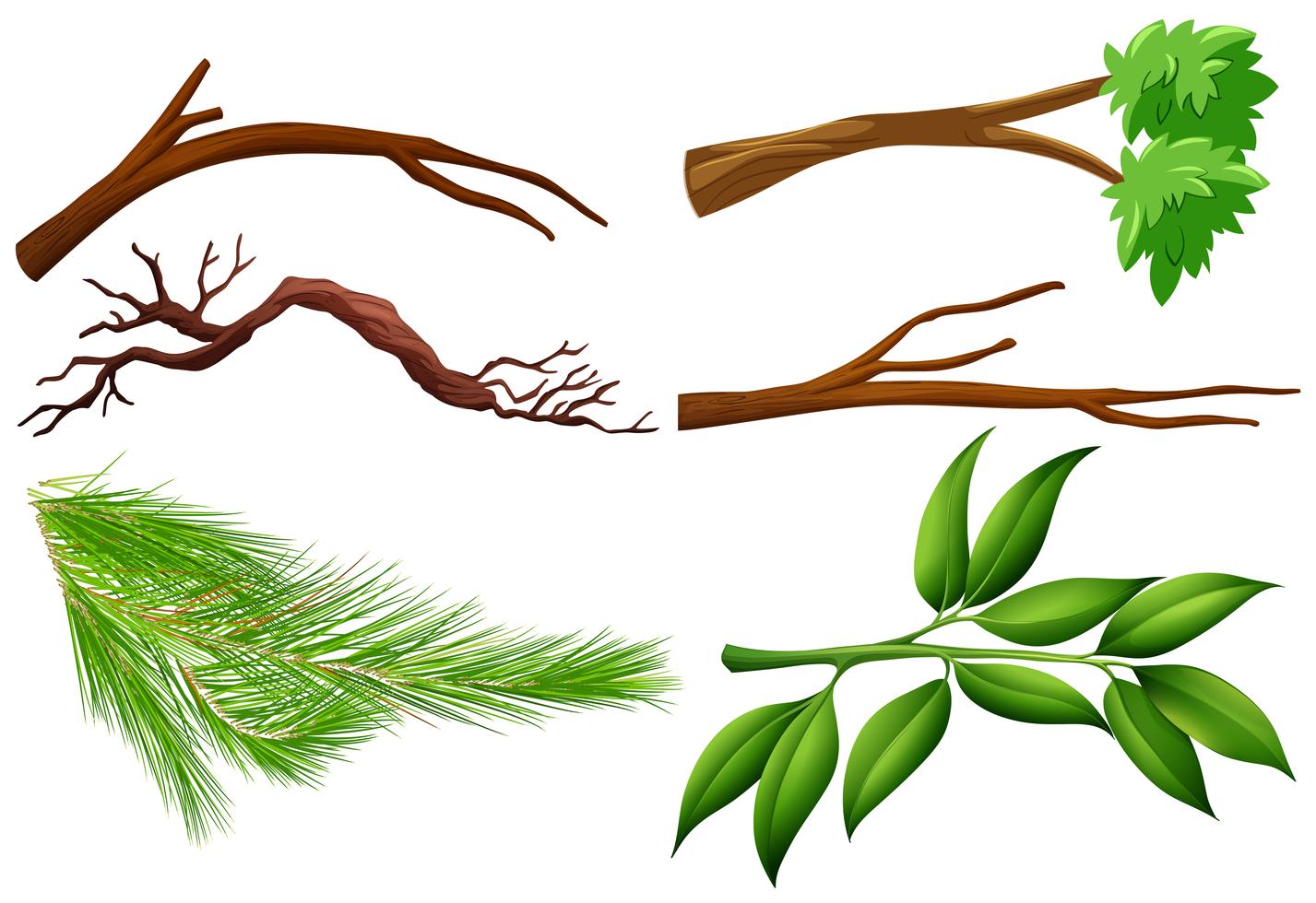A Set of Tree Branch 293793 Vector Art at Vecteezy
