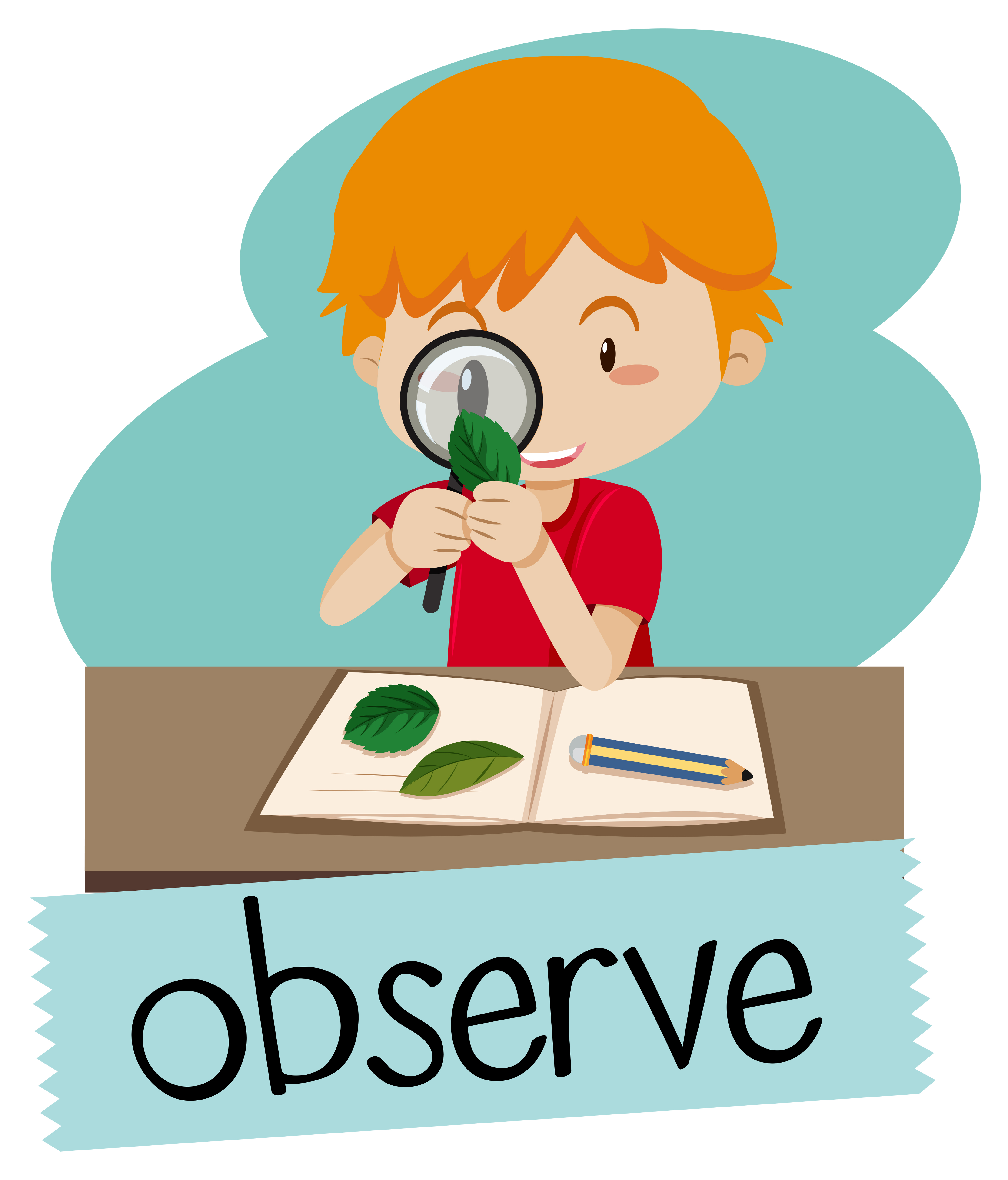 Observation Vector Art, Icons, and Graphics for Free Download Observation Vector Art, Icons, and Graphics for Free Download