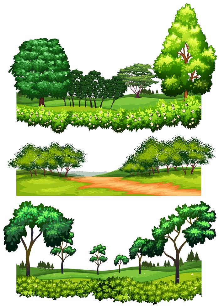 Nature scenes with trees and fields 298081 Vector Art at Vecteezy